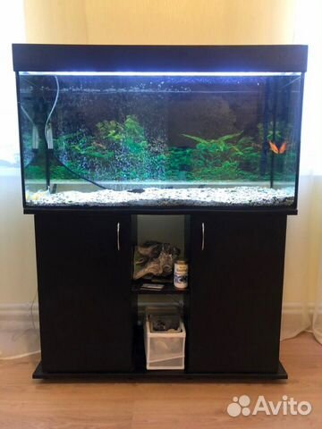 Продам аквариум 200 л