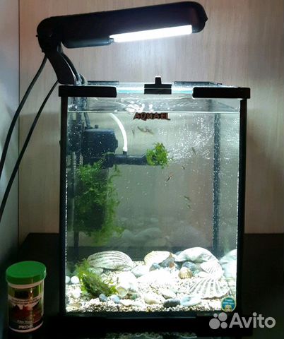 Аквариум aquael с рыбками