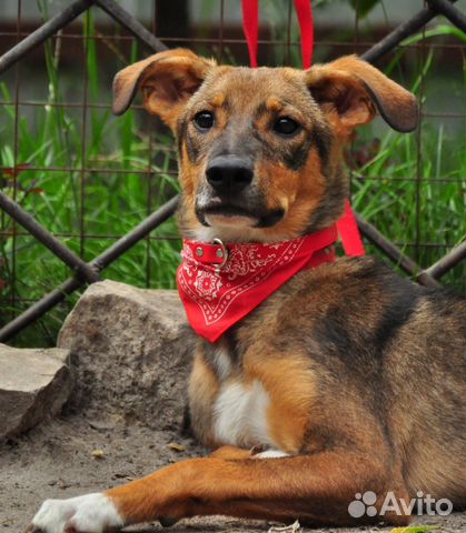 Милая девочка Ника