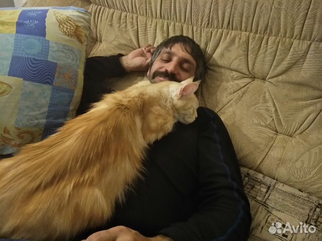 Кунята от ласковых гигантов