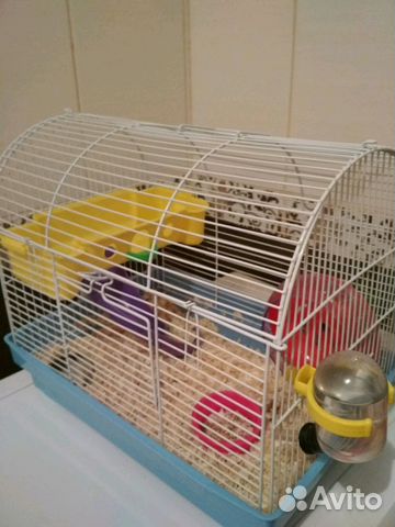 Хомячок (джунгарик) с клеткой. Отдам