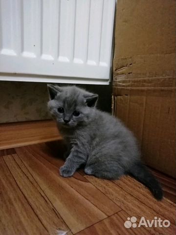 Компот и карамелька