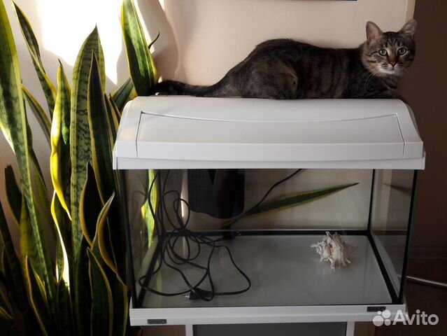 Аквариум Tetra белый 60 литров с тумбой+аксессуары