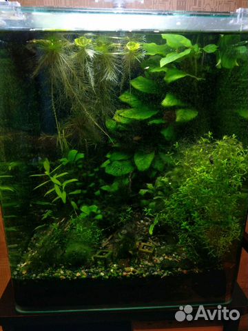 Аквариум кубик 30л