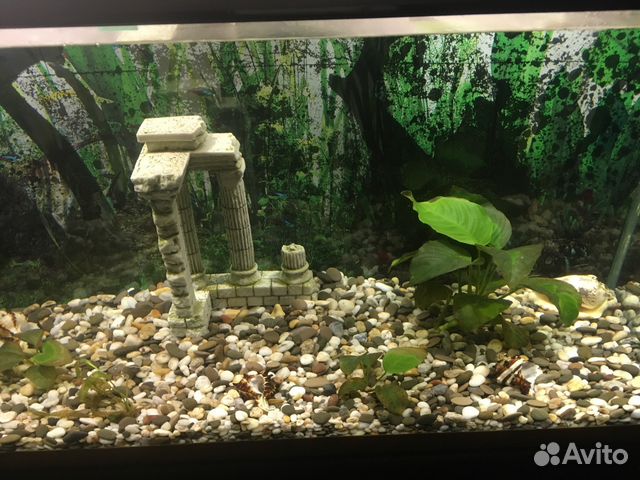 Аквариум
