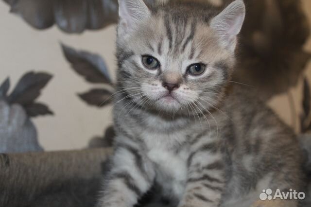 Супер детки