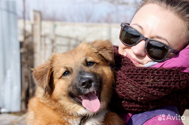 Рокси ищет дом