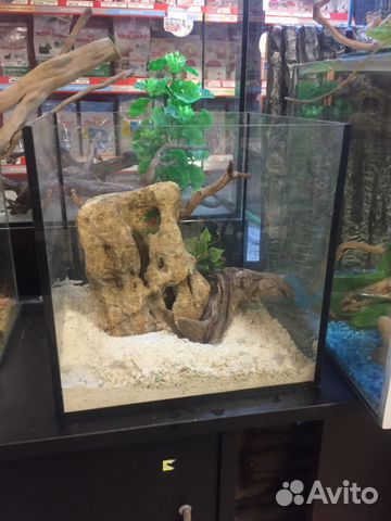 Аквариум