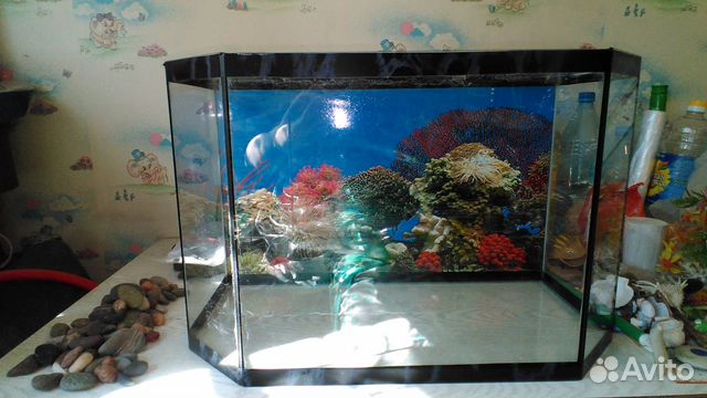 Аквариум -шестигранник б/у 35 л. и всё содержимое