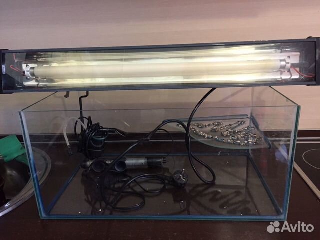 Аквариум для морских черепах