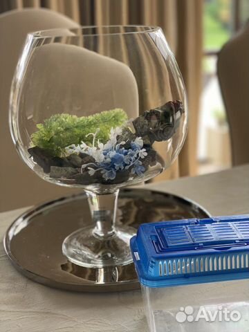Аквариум для рыбок + переноска для рыбок