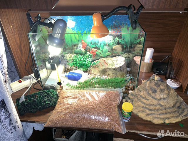 Аквариум готовое решение для черепашки