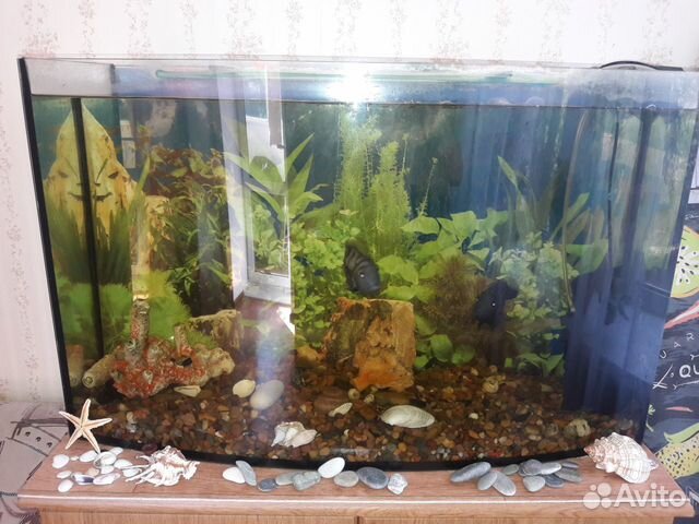 Аквариум