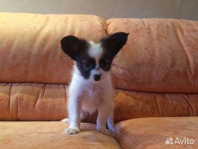 Мини-мальчик