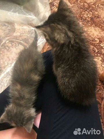 Подарите малышам сказку