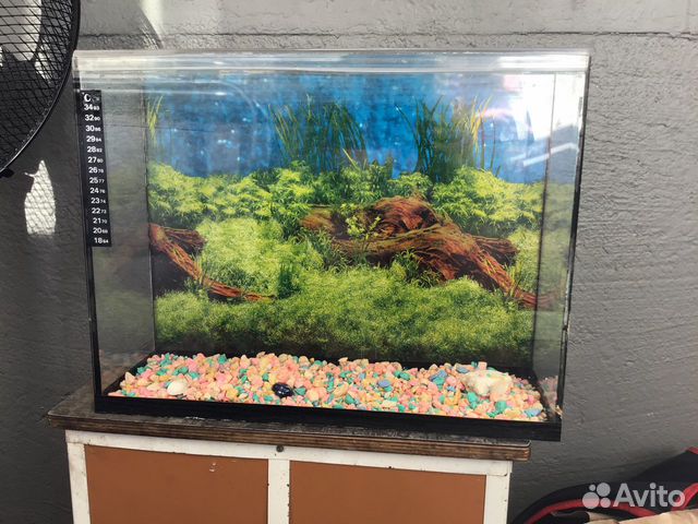 Аквариум 15л