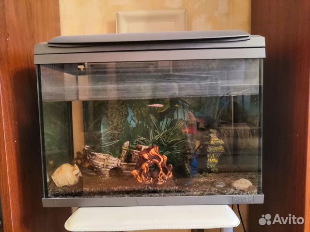 Аквариум (самовывоз)