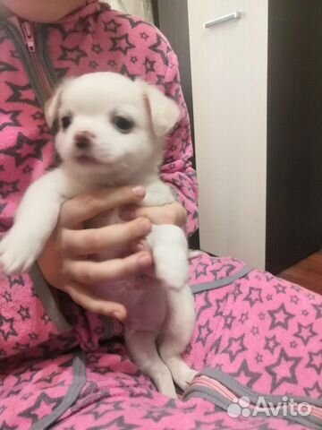 Счастье в ладошке