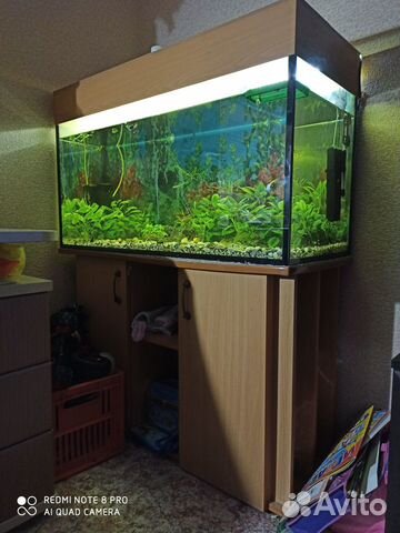 Аквариум 200л. с рыбками