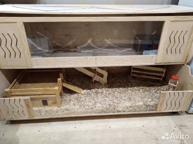 Вольер с морскими свинками