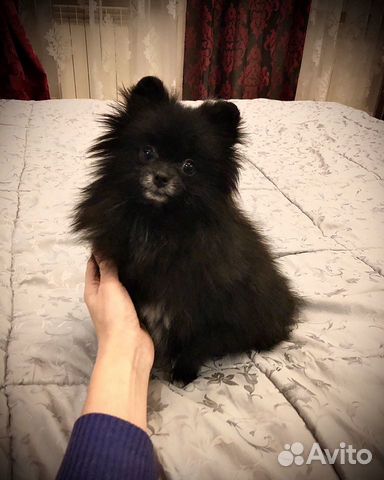 Чёрная девочка супер мини