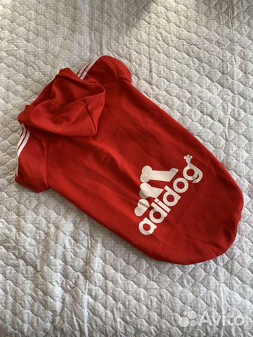 Толстовка для ретривера