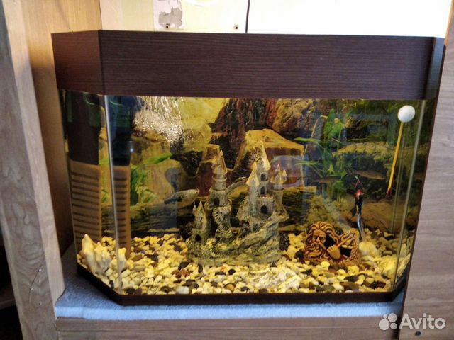 Панорамный аквариум