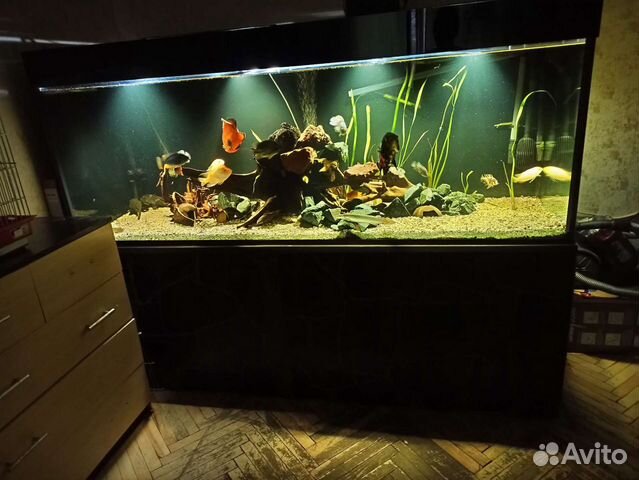 Аквариум 1000 литров