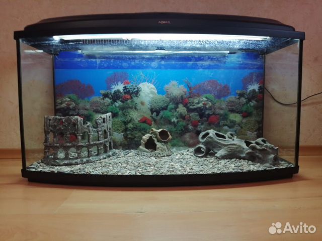 Аквариум Aquael 170л, фигурный