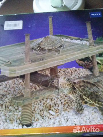 Остров для водной черепахи