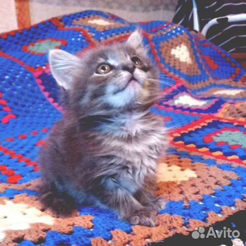 Малышка Ника.В самые заботливые руки