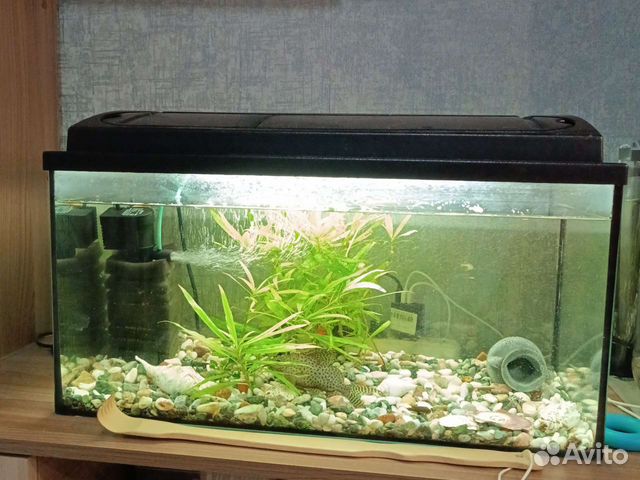Аквариум 55литров