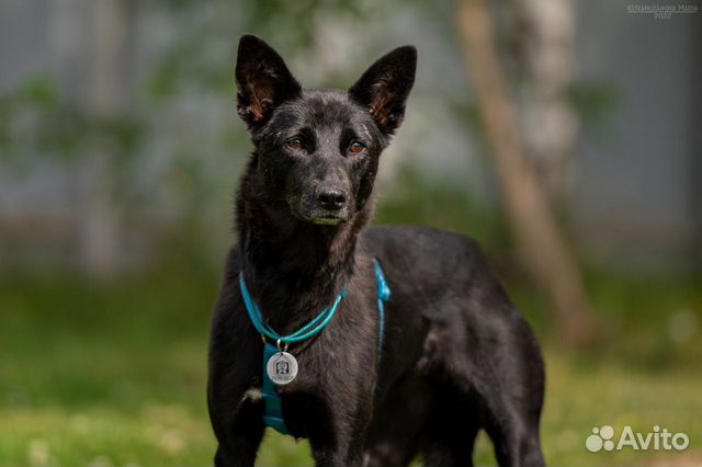 Герда растопит самое холодное сердце