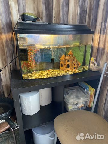 Аквариум с рыбками