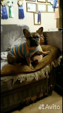 Девочки 6 месяцев