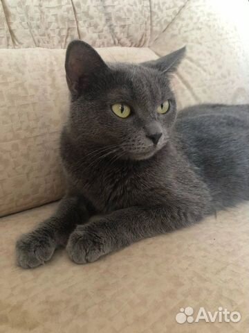 50 оттенков серого