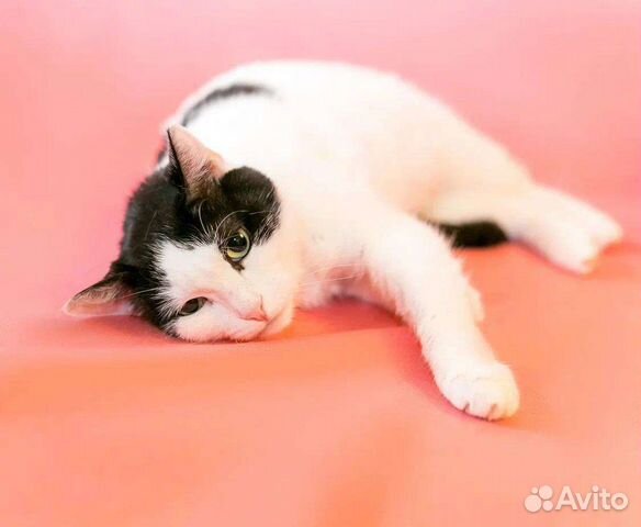 Дуня ищет семью