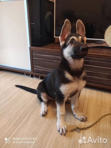 Девочка вео от рабочих родителей