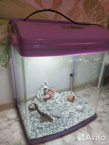 Аквариум