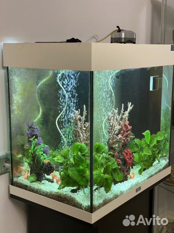 Аквариум