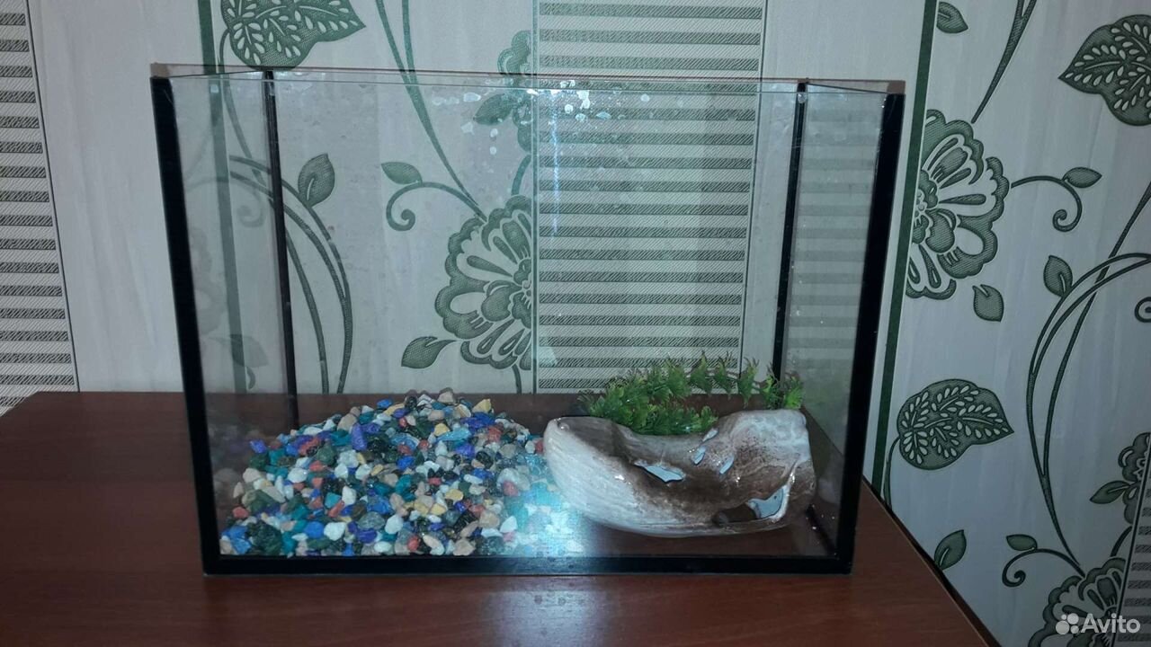 Аквариум