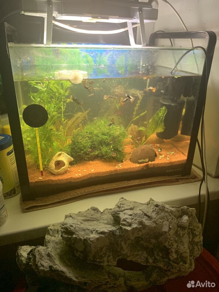 Аквариум 38л