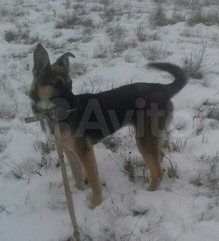 Маленькая разбойница