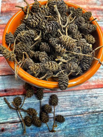 Аквариумные растения